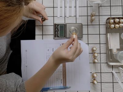 What Are Perfumes Made Of? (Explained for Beginners) – FragranceAdvice